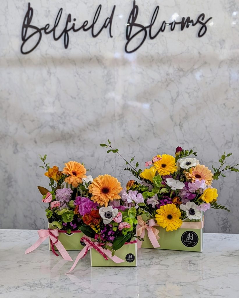 October Flowers